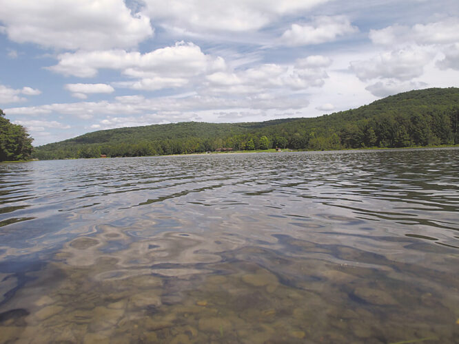Fish & Boat may lift fishing restrictions on lake at Chapman | News ...